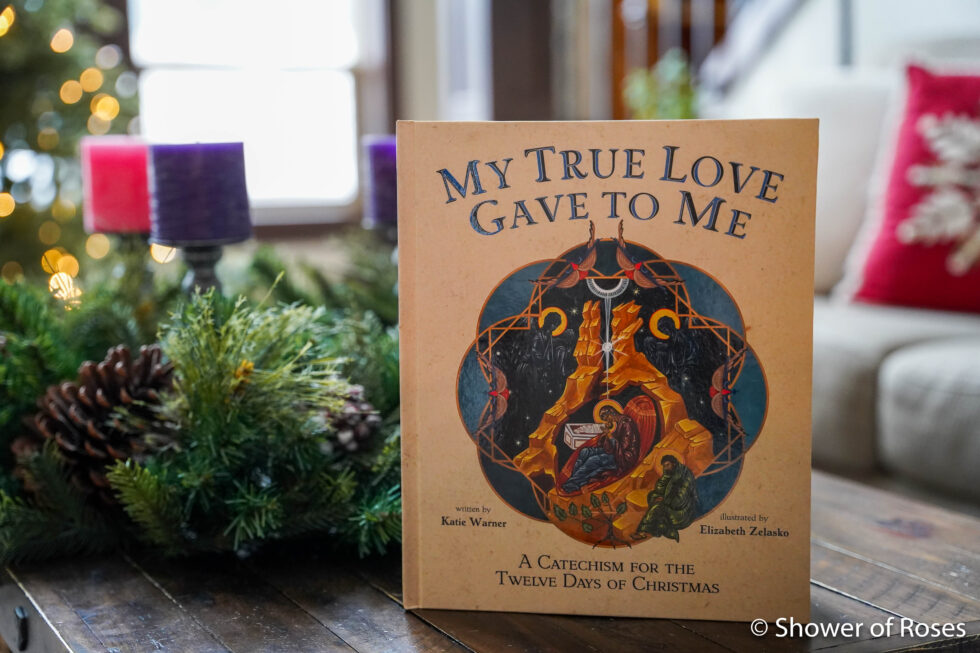 Shower of Roses Blog - "After my death I will let fall a shower of ...